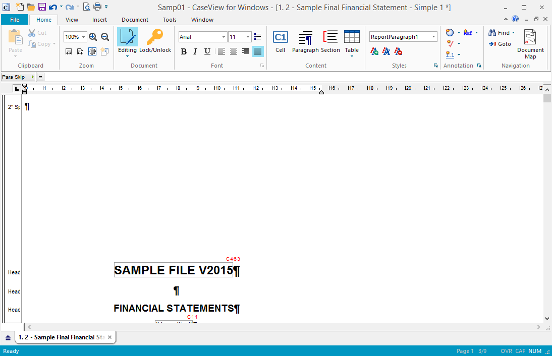 About the modes of CaseView